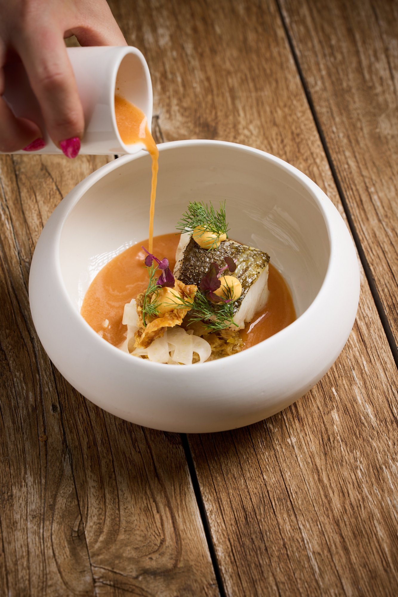 Homepage | 't Pachthuis